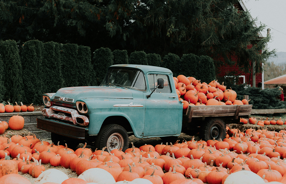 18 Fall Activity Ideas for Autumn Events
