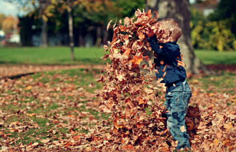 Preschool Fall Festival Ideas: 10+ Games and Booth Ideas for Ages 3–5